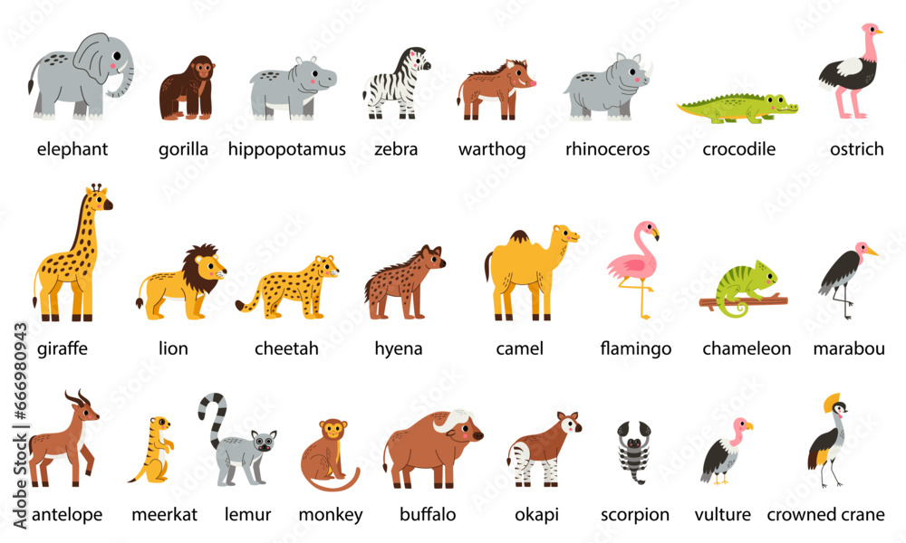 Set of cute African animals with names in cartoon style on white ...