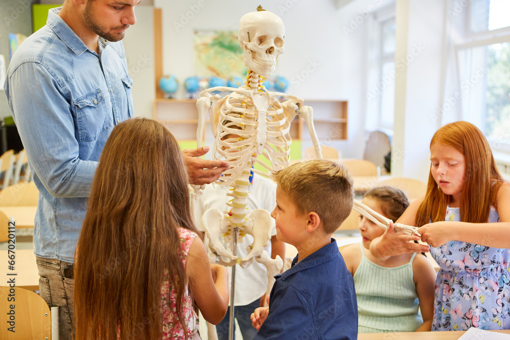 Teacher and students around human skeleton in class Stock Photo | Adobe ...