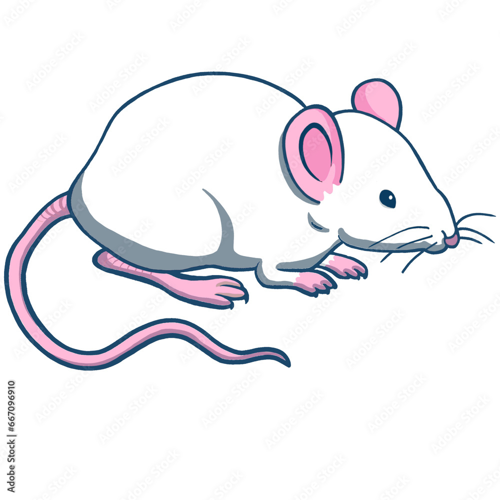 Cartoon illustration of a long-tailed white rat on a white background ...