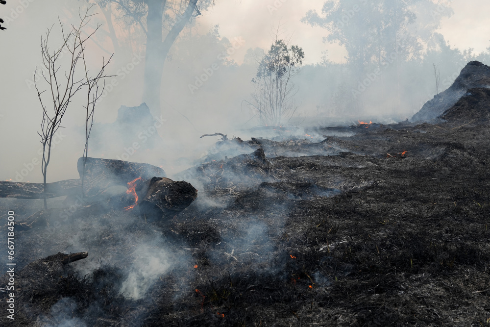 A stunning veld fire in a field in between a suburb and a railway ...