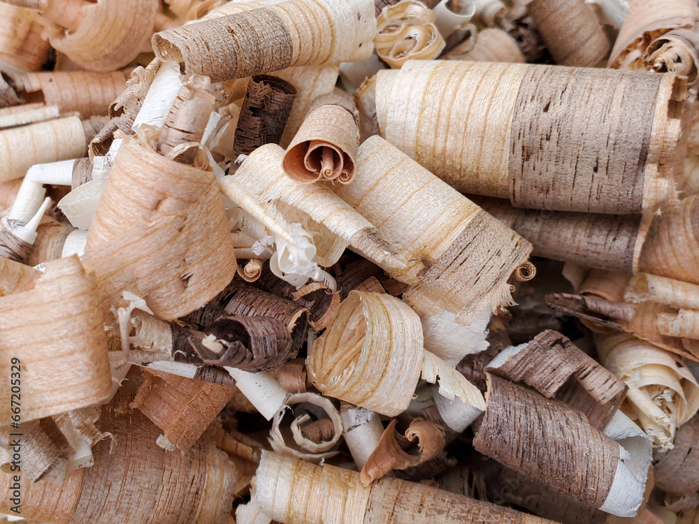 Curly wood shavings, from a wood plane, on the shop floor Stock Photo ...