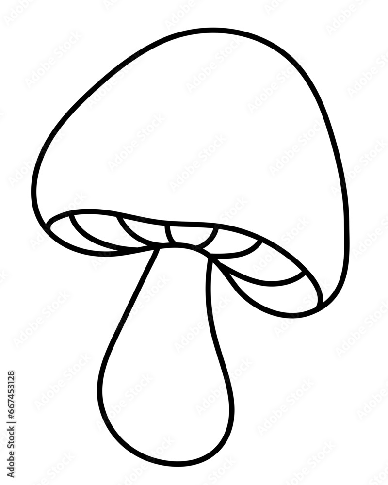 Mushroom vector illustration. isolated on transparent background. Line ...