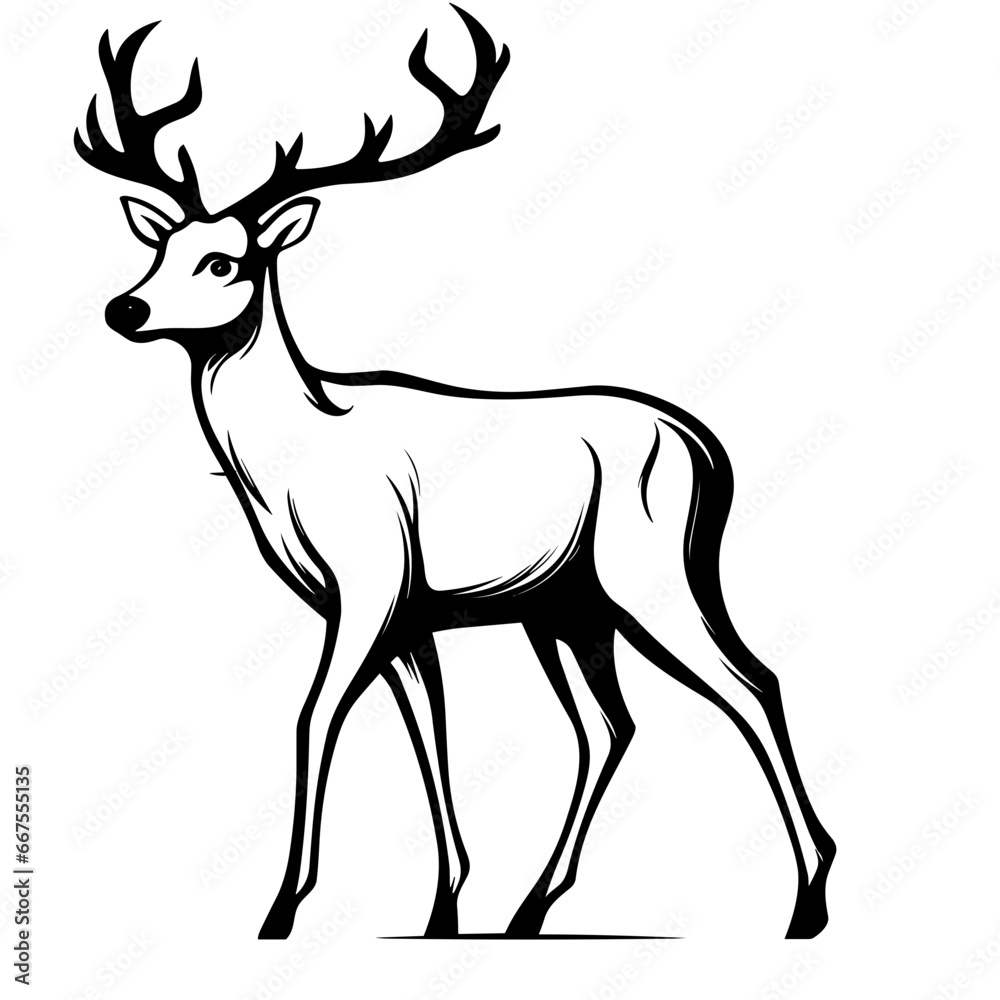Simple Hand Drawn Illustration of Deer with Outline Style. SVG Vector ...