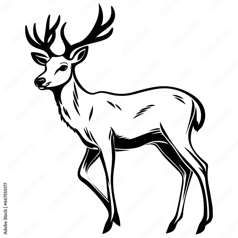 Simple Hand Drawn Illustration of Deer with Outline Style. SVG Vector ...