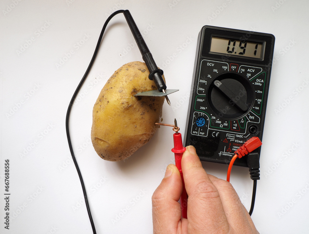 Potato battery. Generating electric from a potato and measuring its ...