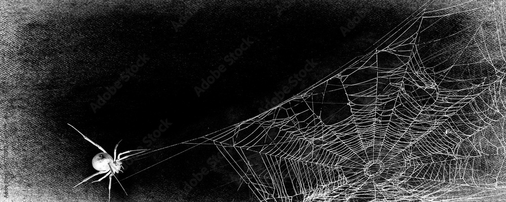 Spiders in web on black grunge background. Cobweb frame. Halloween ...