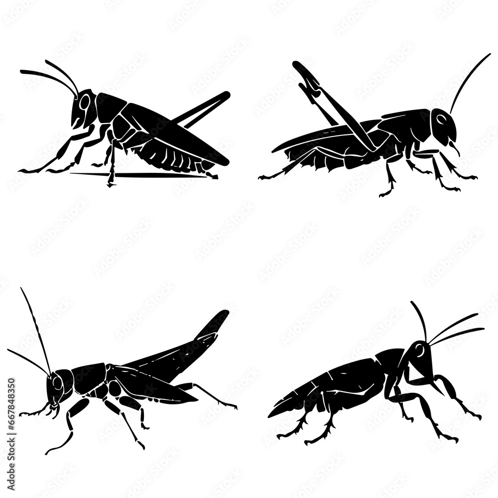 grasshopper silhouette, grasshopper svg, grasshopper png, grasshopper ... grasshopper silhouette, grasshopper svg, grasshopper png, grasshopper ...