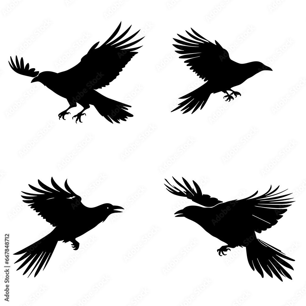 Crow silhouette, crow vector, crow illustration, crow png, crow svg ...
