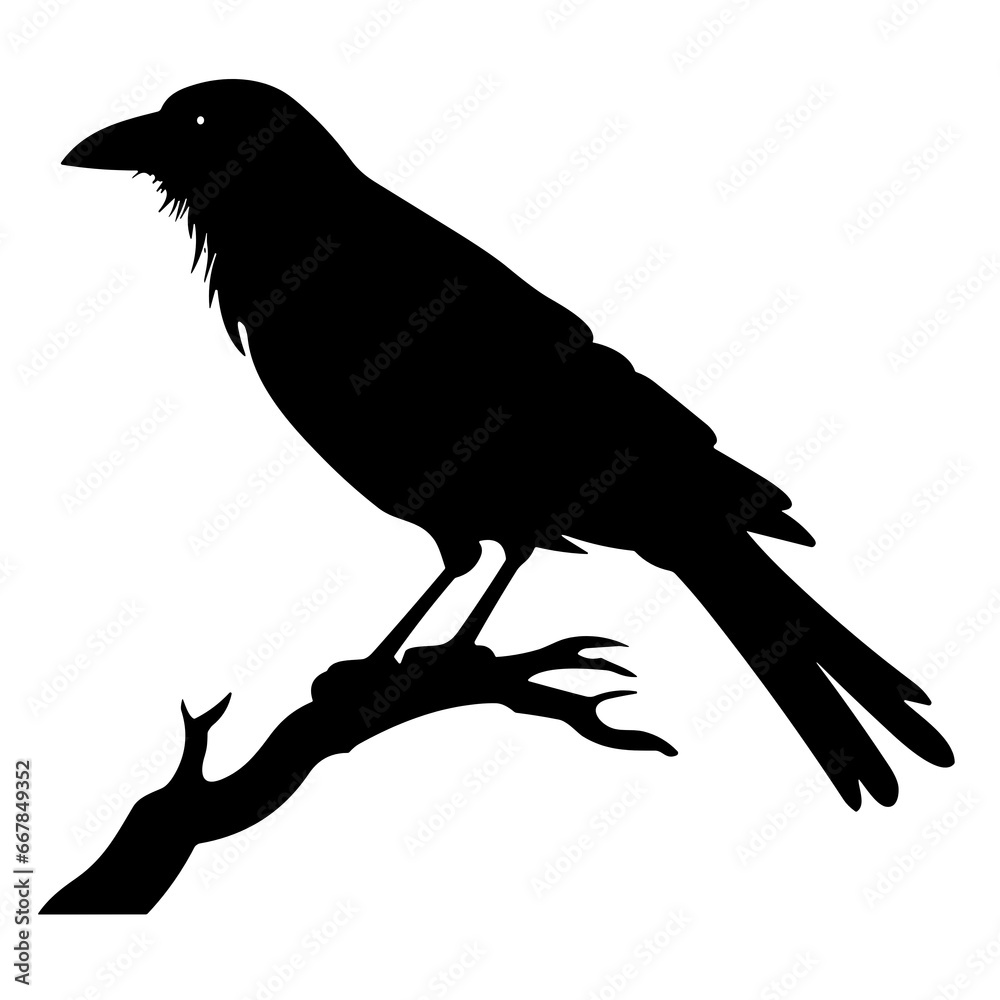 Crow silhouette, crow vector, crow illustration, crow png, crow svg ...