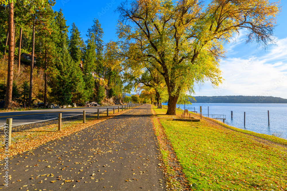 Autumn view with fall colors on the leaves along the tree lined ...