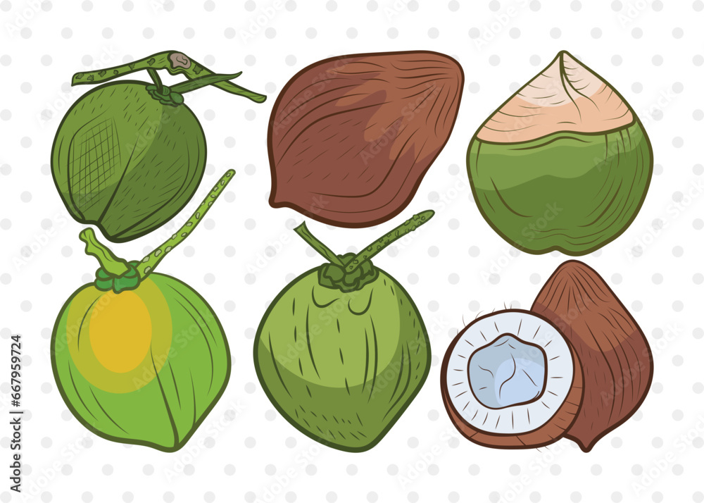 Coconut Clipart SVG Cut File | Fruit Svg | Coconut Drink Svg | Coconut ...