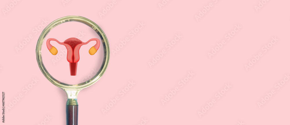 Magnifier glass focus care checkup uterus organs, reproductive system ...