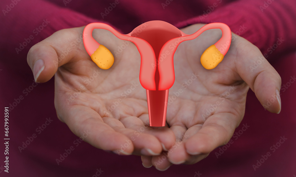 Human hand hold care uterus therapy, reproductive system, HPV ...