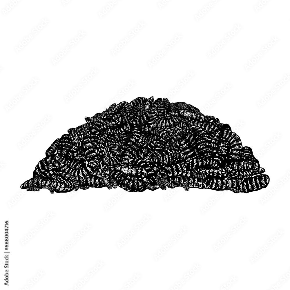maggots hand drawing vector isolated on background. Stock Vector ...