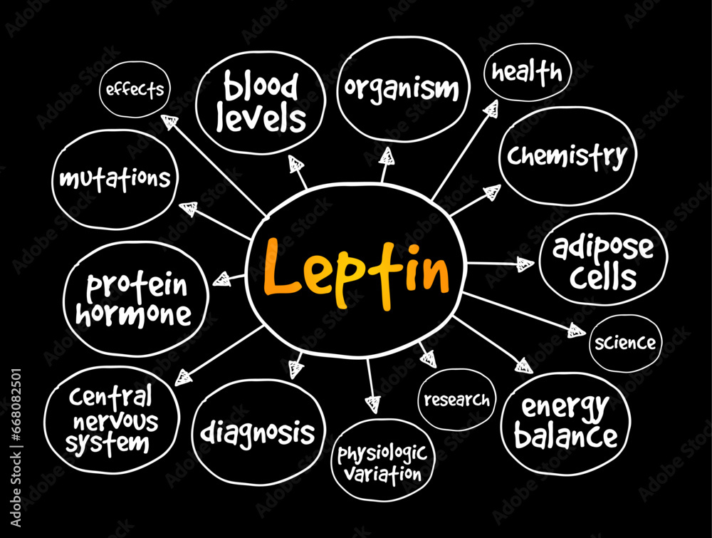 Leptin is a hormone made by adipose cells and its primary role is to ...
