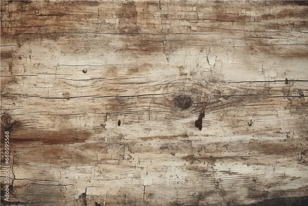 texture of old, damaged cracked wood bleached with white paint with ...