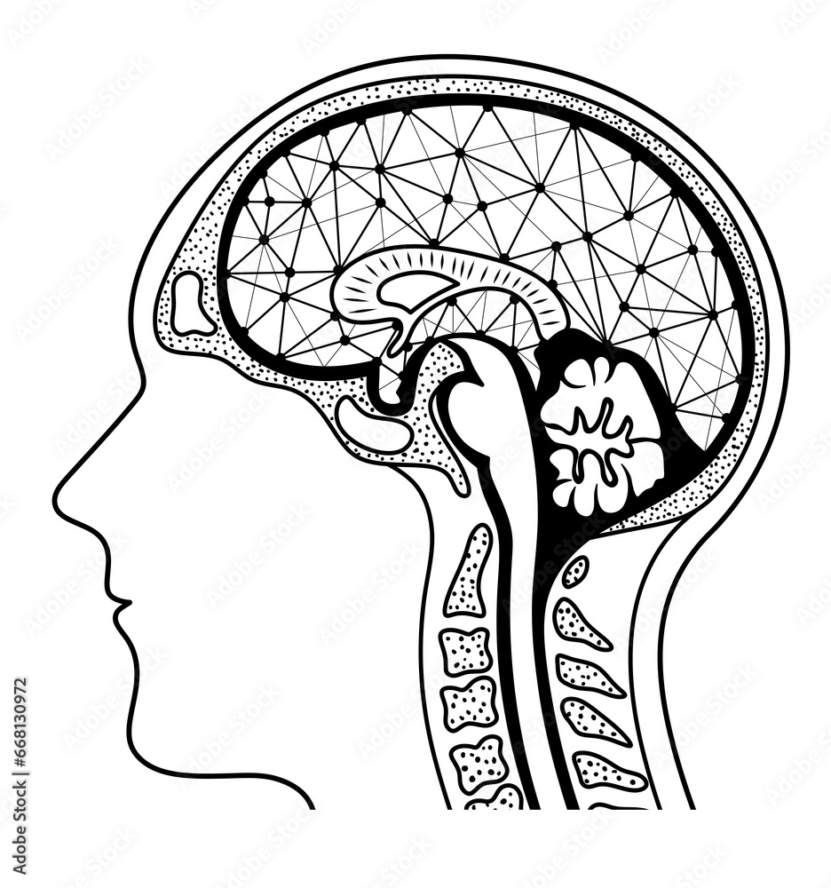 Human head in section clipart Brain with lines and dots. Illustration ...