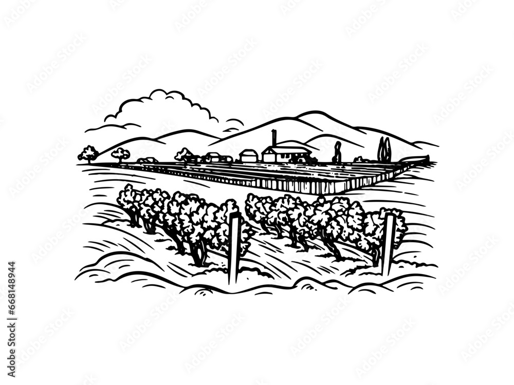Vecteur Stock Vineyard landscape sketch. Hand-drawn vintage vector illustration. Rows of ...