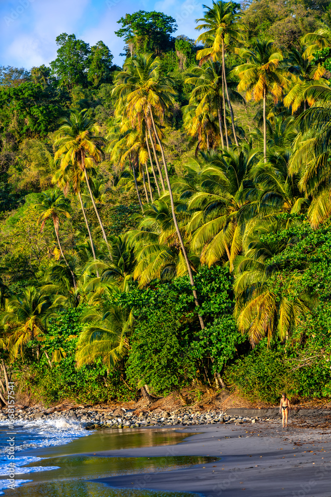 Foto de “Anse Couleuvre“ is a remote beach with black sand, rain forest ...