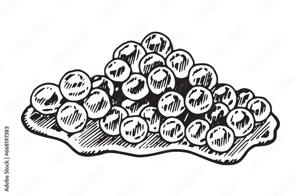 Tapioca balls for Bubble tea. Vector illustration of boba pearls. Hand ...