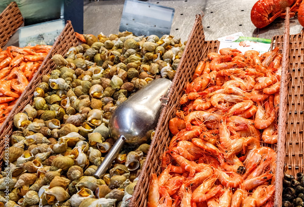 Sea snails (French whelks) and cooked shrimps at the fish market in ...