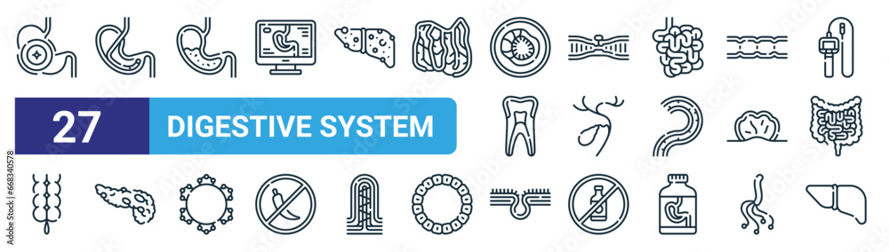 set of 27 outline web digestive system icons such as stohache ...