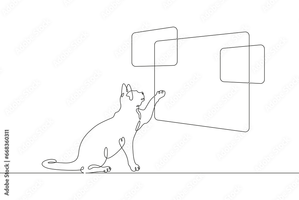 Cat in front of big screens. Interactive monitors. The cat touches the ...