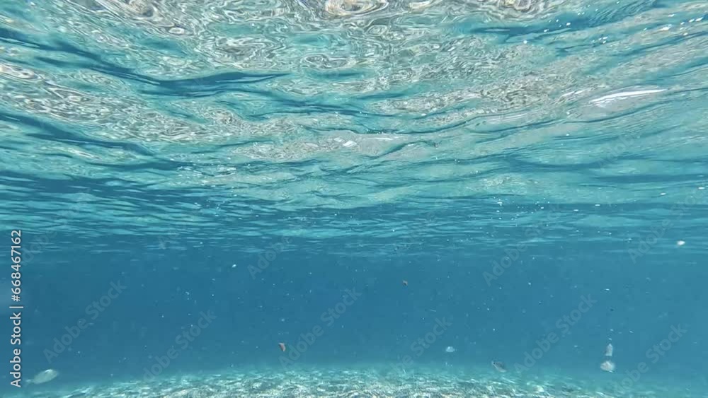 Fish swimming on the surface of the water. Turquoise sea water video ...