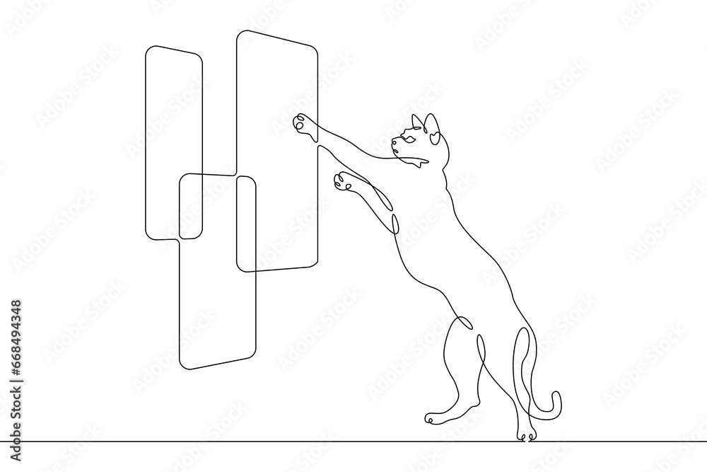 Cat in front of big screens. Interactive monitors. The cat touches the ...