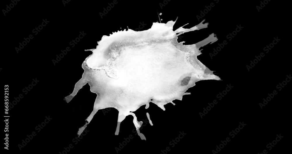 abstract paint brush stroke shape white ink splattering flowing and ...