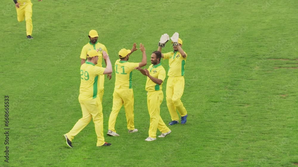 South Asian Cricket Team in Yellow Uniform Celebrating a Victory Over ...