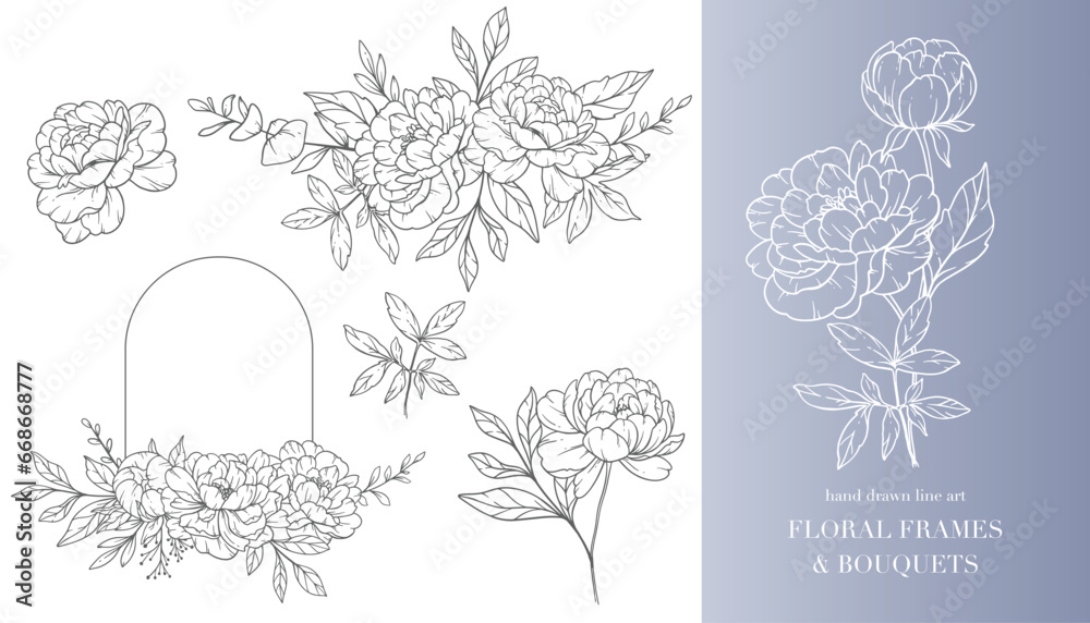 Peony Flower Line Art. Floral Frames and Bouquets Line Art. Fine Line ...