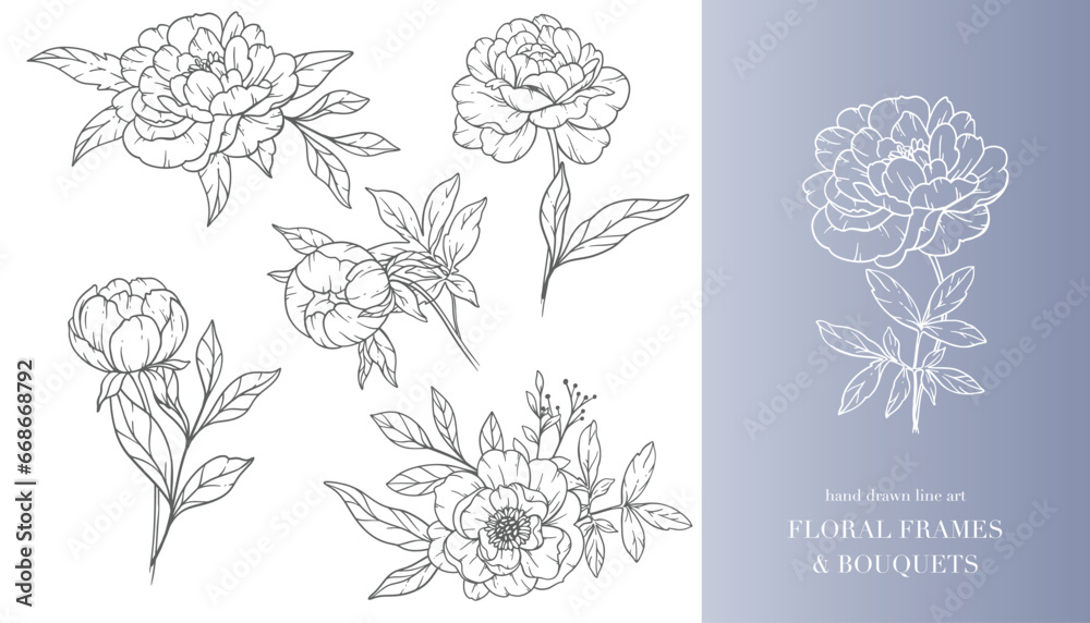 Peony Flower Line Art. Floral Frames and Bouquets Line Art. Fine Line ...
