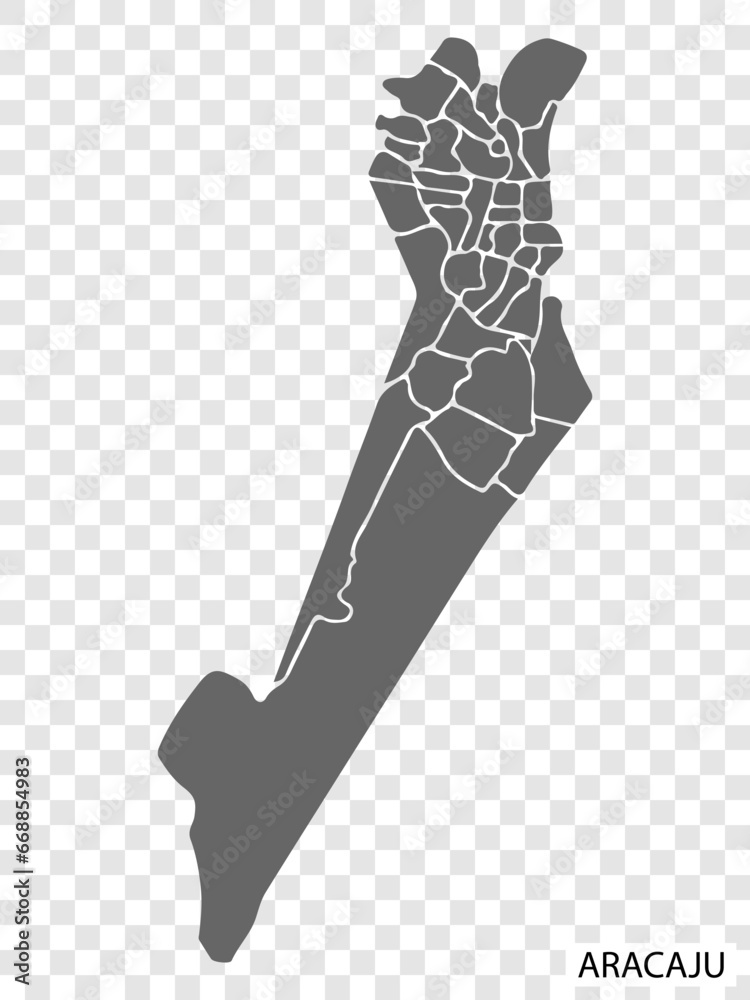 High Quality map of Aracaju is a city Brazil, with borders of the ...