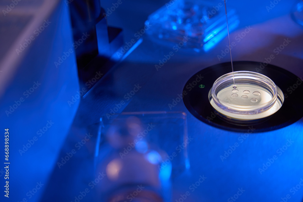 Cell sample aspiration process before cryopreservation procedure Stock ...