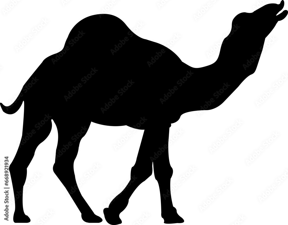 Camel Fill graphic icon. Camel black sign isolated on Transparent ...