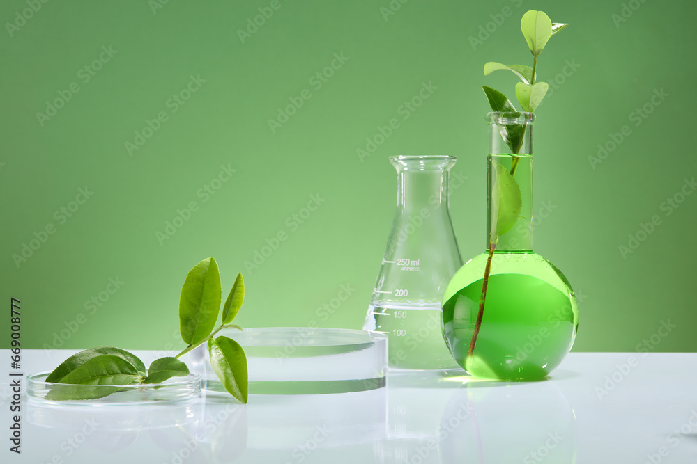 Foto de Green tea leaves in a petri dish, light green liquid housed in ...