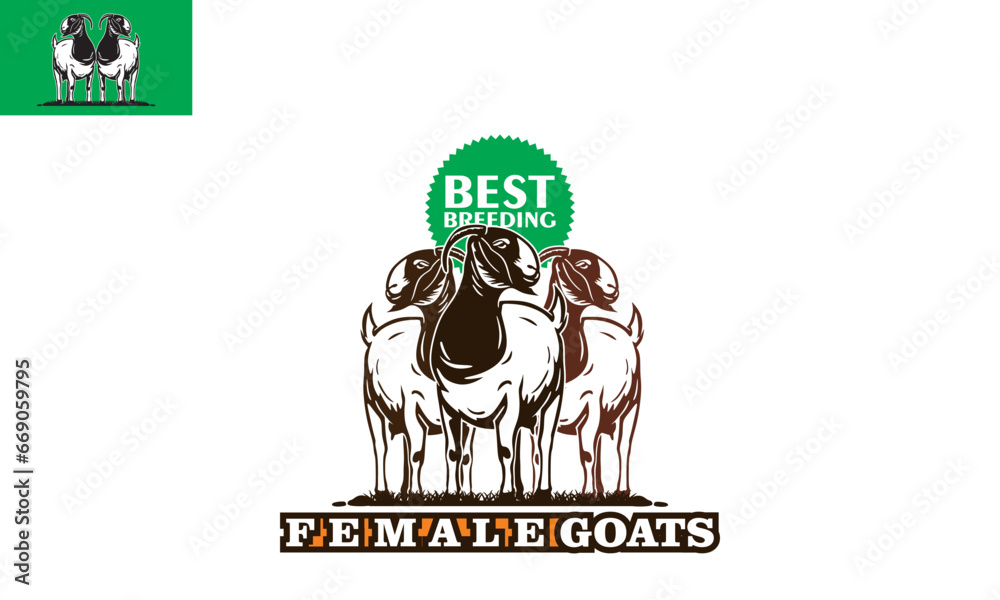 BEST FEMALE BOER GOATS STANDING LOGO, silhouette of big and healthy ram ...