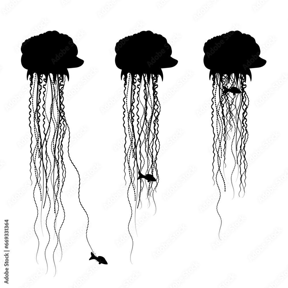 Stages of eating fish of Portuguese man o' war vector black ...