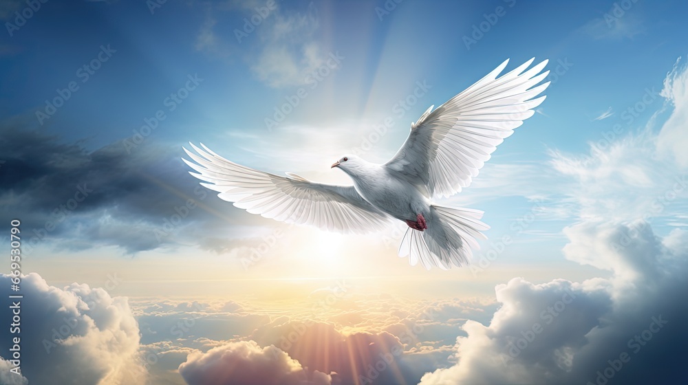 Holy spirit bird flies in skies, bright light shines from heaven, white ...