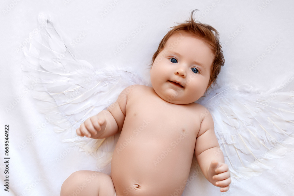 Beautiful Baby . Cute infant angel with wings isolated on white. lovely ...
