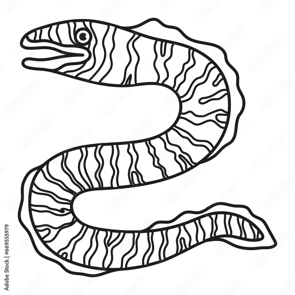 moray eel, vector illustration isolated on white background, contour ...