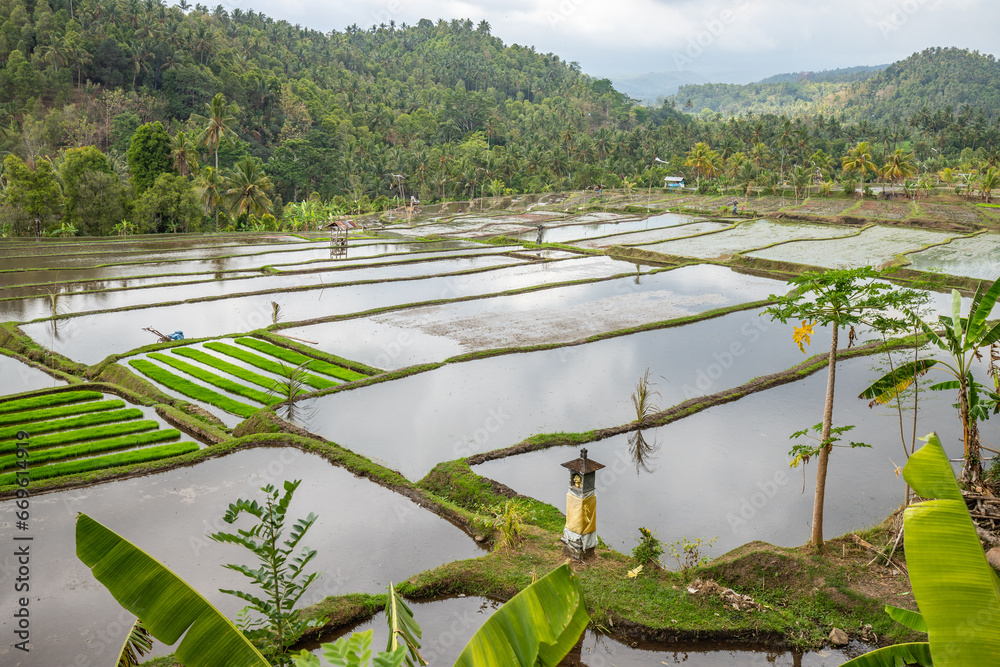 The magical rice terraces in the evening. Here you can see the unique ...