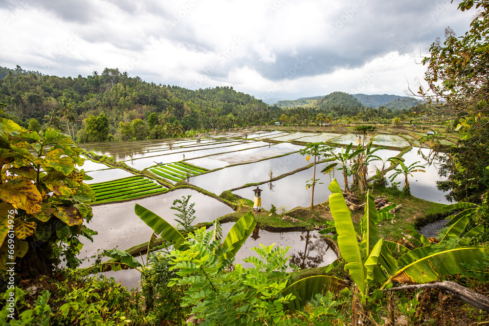 The magical rice terraces in the evening. Here you can see the unique ...