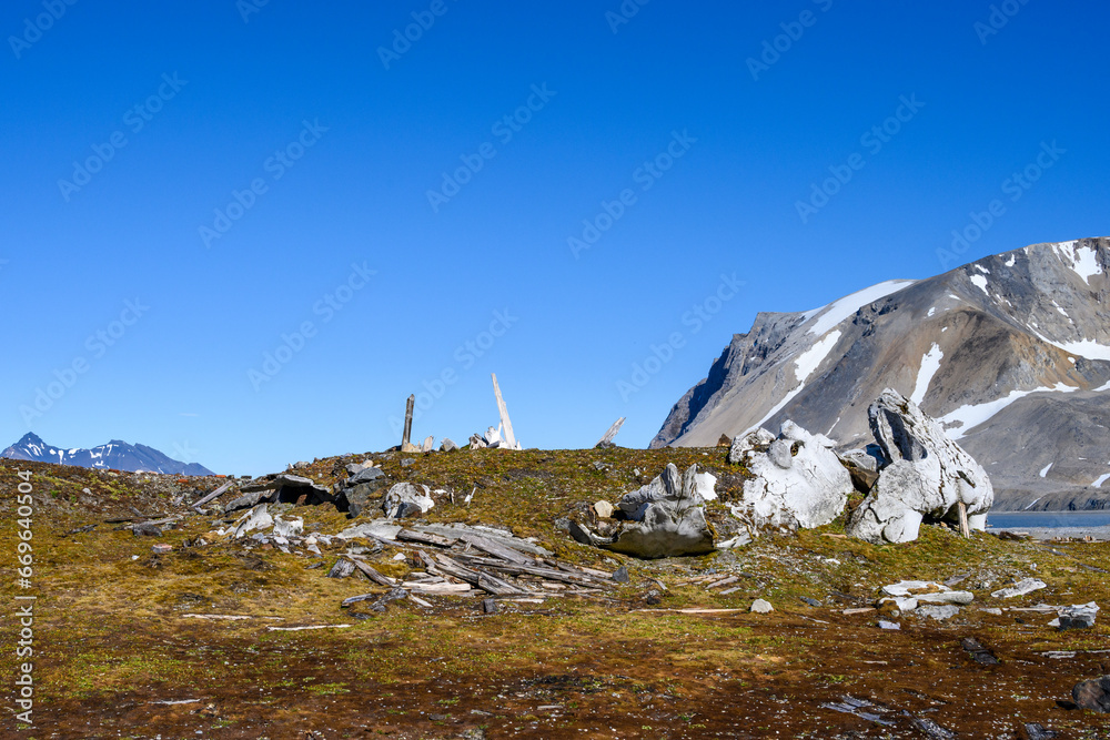 Historic remains of old whaling station on Gashamna, Svalbard, whale ...
