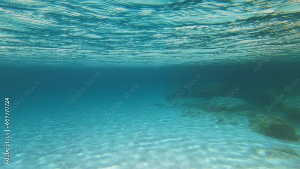Slow motion video of underwater shallow seagrass beds of brown algae ...
