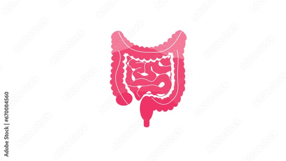 Human body intestine Organ anatomy flat animation Stock Video | Adobe Stock