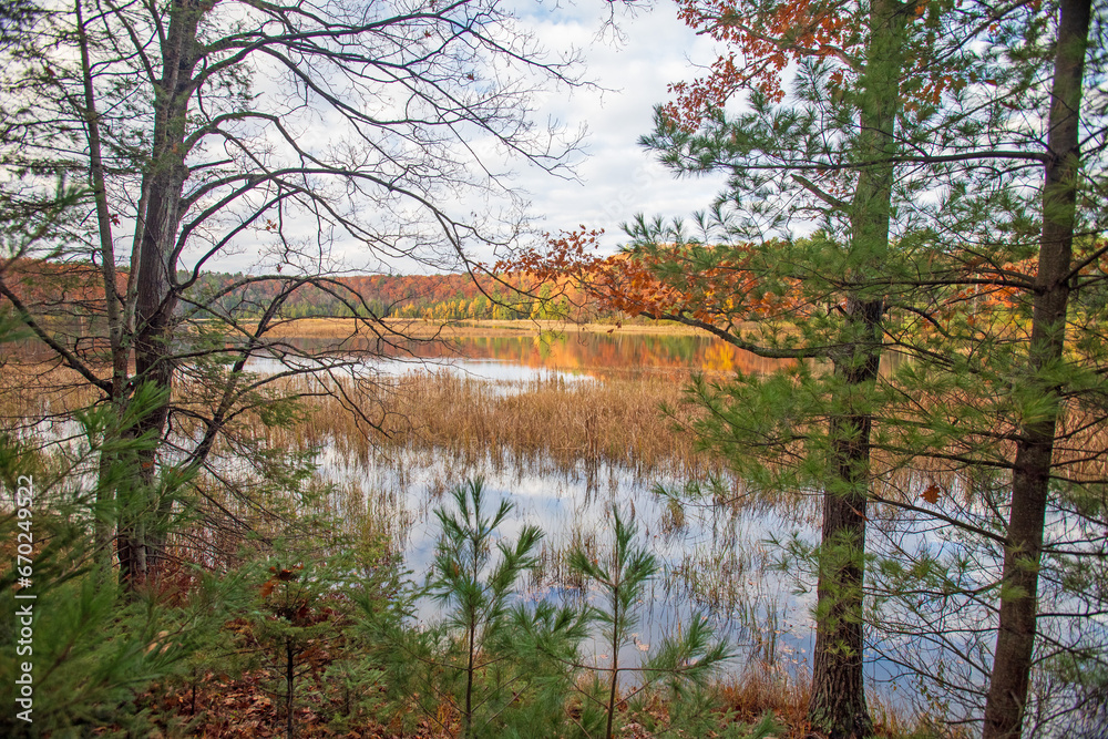 AuSable River - Cooke Pond - Pine Acres - Huron National Forest Stock ...