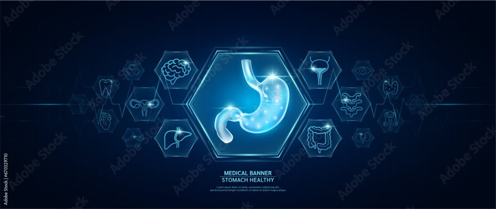 Stomach healthy. Human organs icon symbols. Medical science banner ...