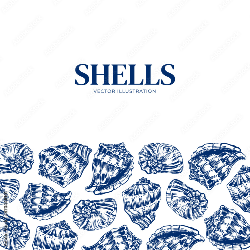 Shell. Hand drawn seashells. Engraving on a marine theme. Vector ...